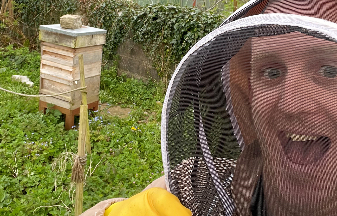 Sam means bees-ness with world record attempt | Galliford Try